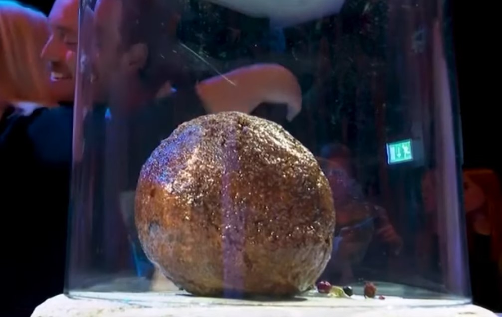 Masová koule vyrobená v laboratoři z vyhynulého mamuta | AC24.cz